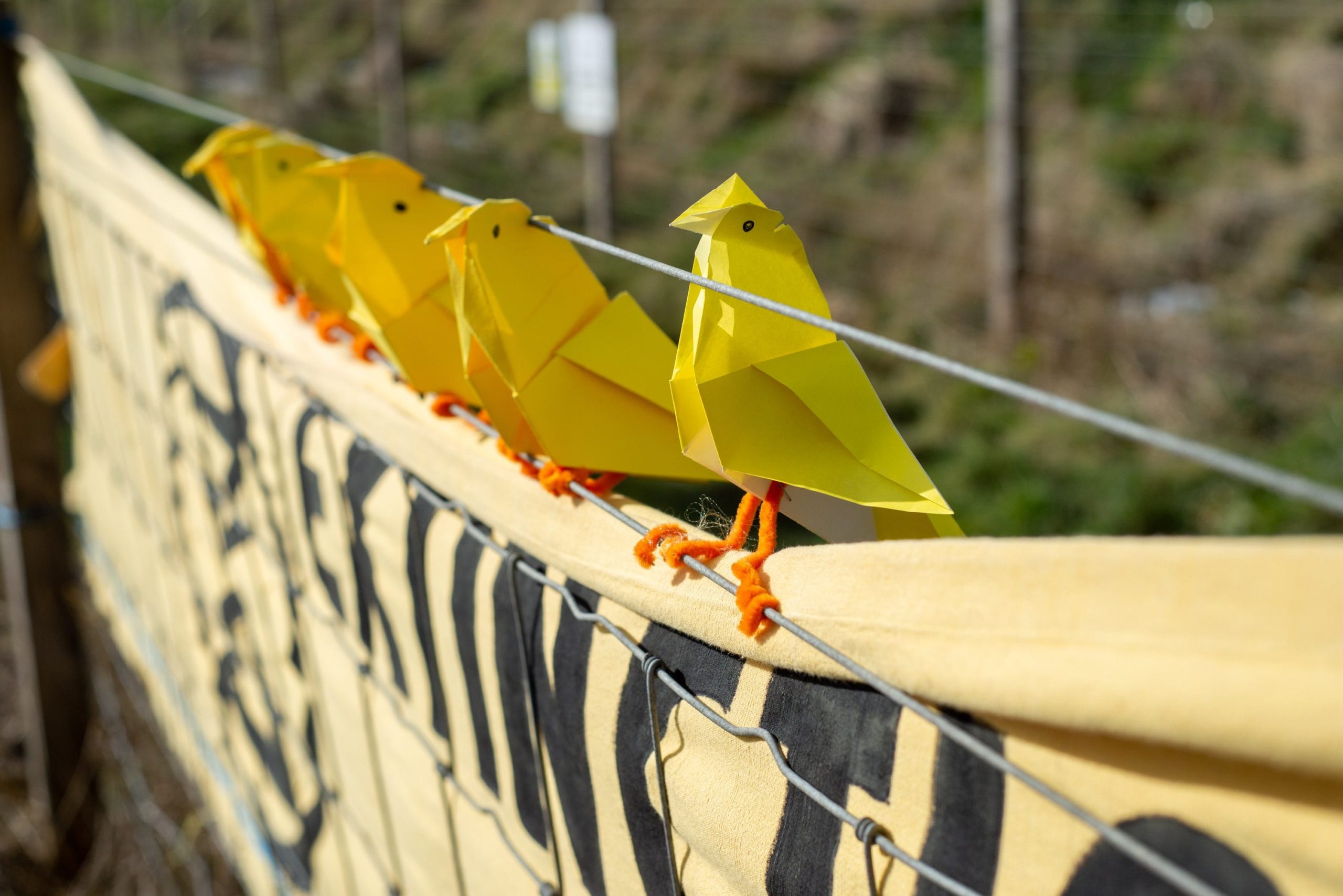 UK Newsletter #10 - I Know Why the Caged Canary Sings - Extinction ...