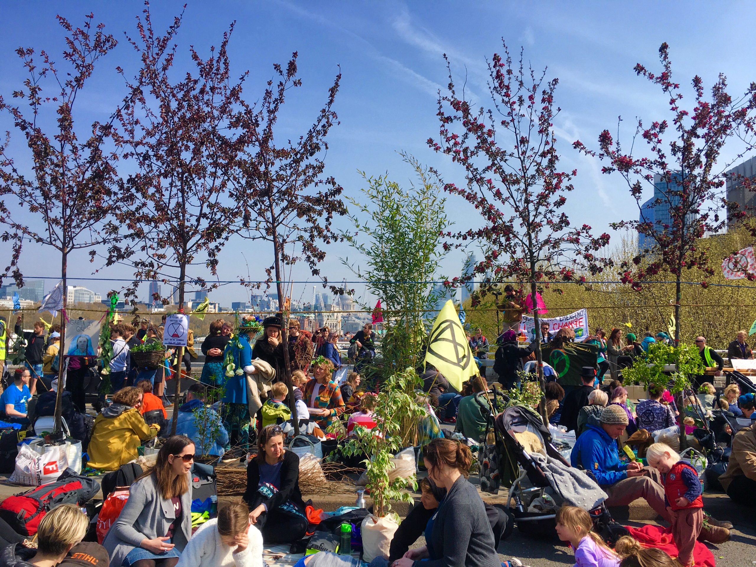 Photo Story: The Trees on Waterloo Bridge - Extinction Rebellion UK